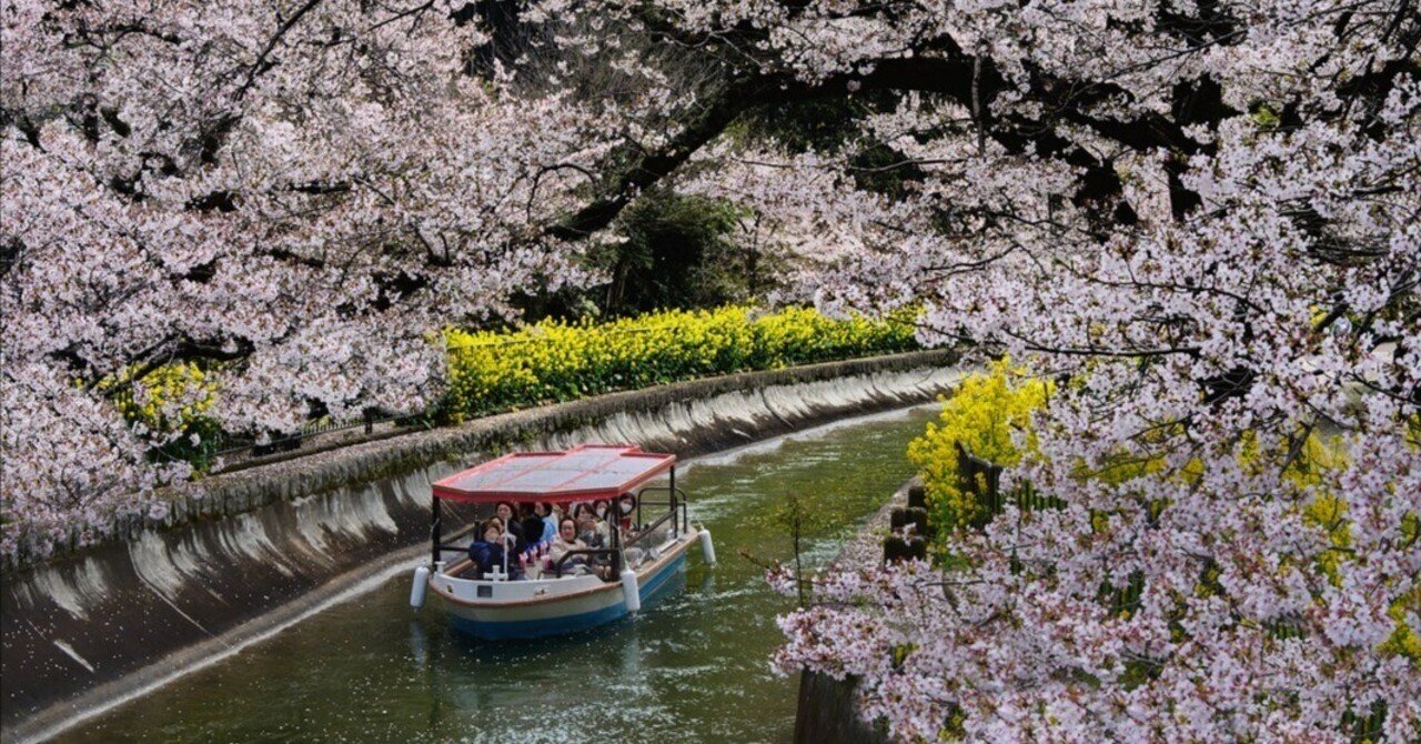 “作品にならない”と言われても、僕は撮る。｜005 akkiy