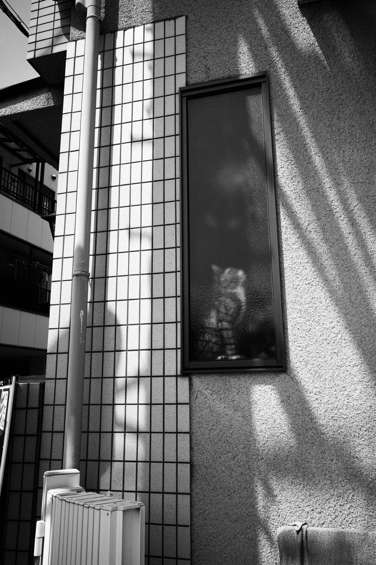 #001 散歩寫眞発表会【八尾】｜rikuto murakami / 村上陸斗