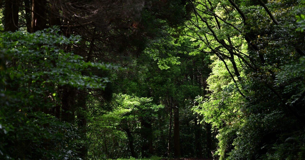 第12回：山と獣と、共に生きる──「害獣対策」を超えて｜Ayako Oishi 山暮らしフリーデザイナー