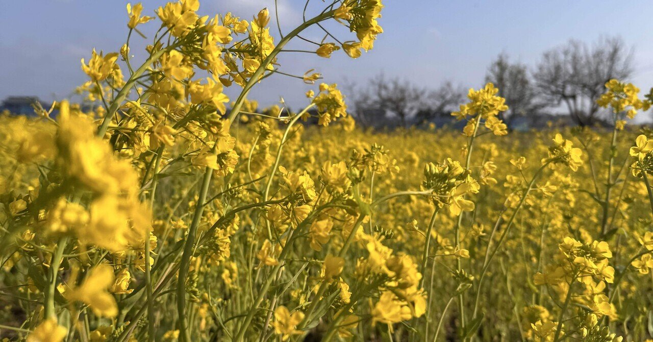 社会人大学院のグループワーク、それは大人の演劇｜O-mitsu