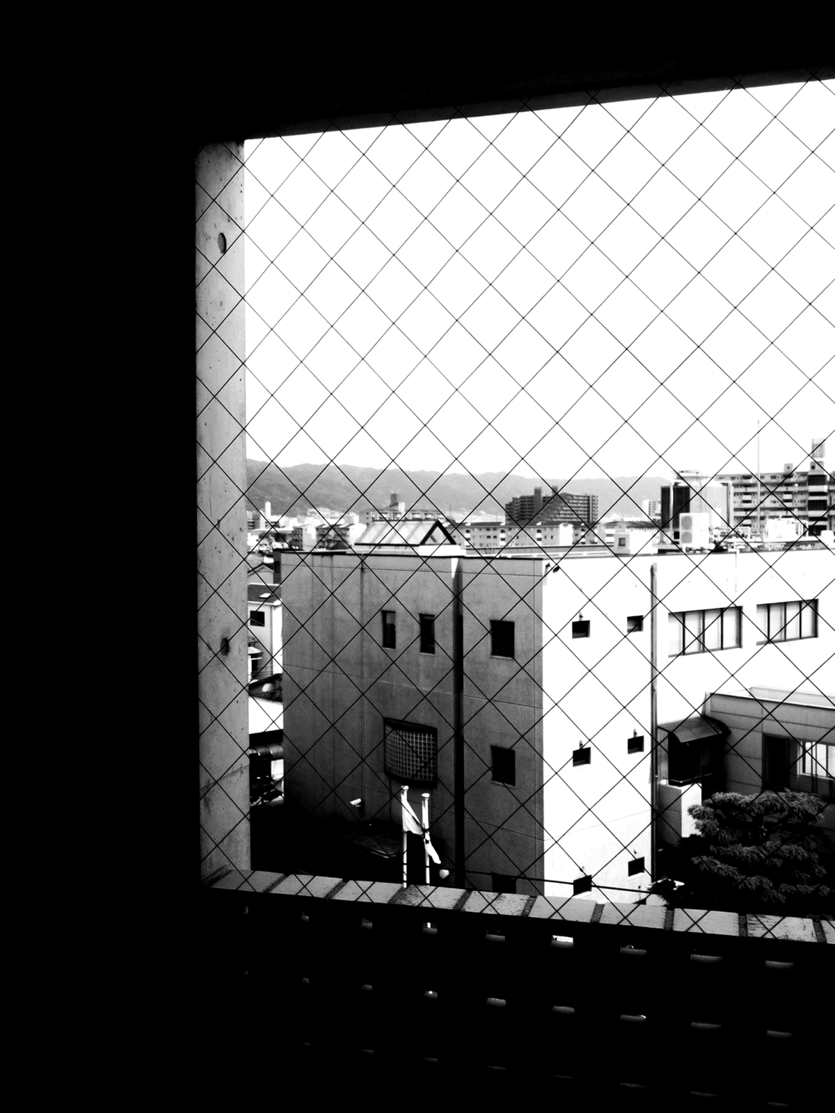 #002 オールドコンデジはとりあえずコレ買えばいいよ。｜rikuto murakami / 村上陸斗