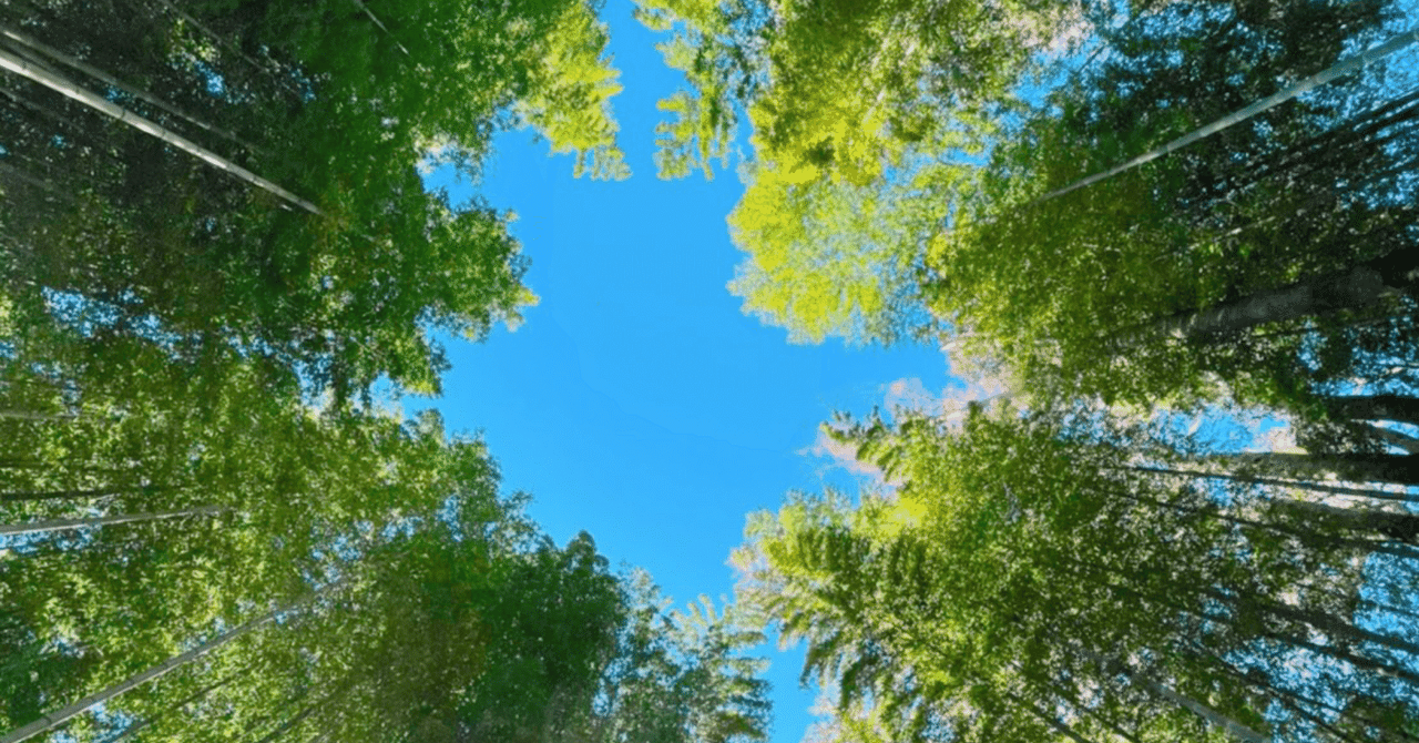 コルセット腹筋｜shoko