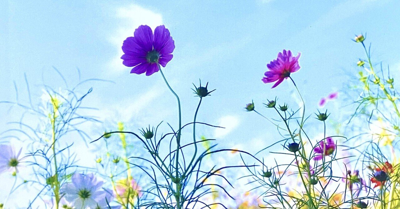 YouTube 10本ノックへの道｜KAZU−BON