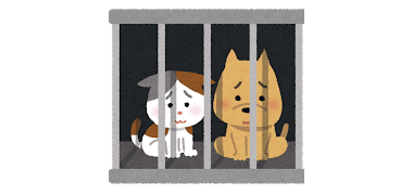 ペットの迷子について｜ペットシッターつばめ