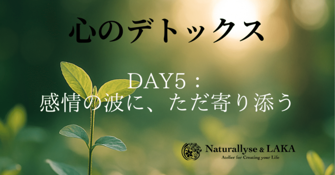 DAY5：感情の波に、ただ寄り添う｜癒しの語り部