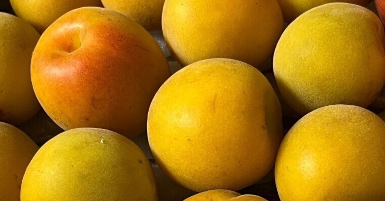 完熟梅がやってくる。｜kanon