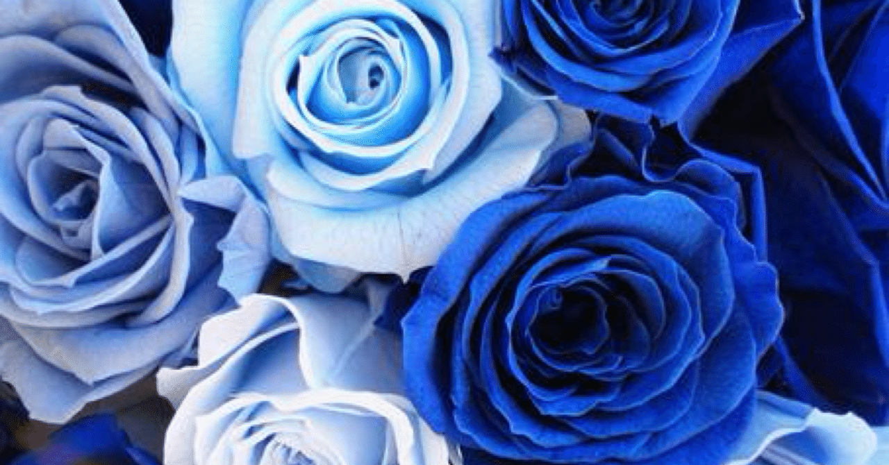 0602｜言語化練習中