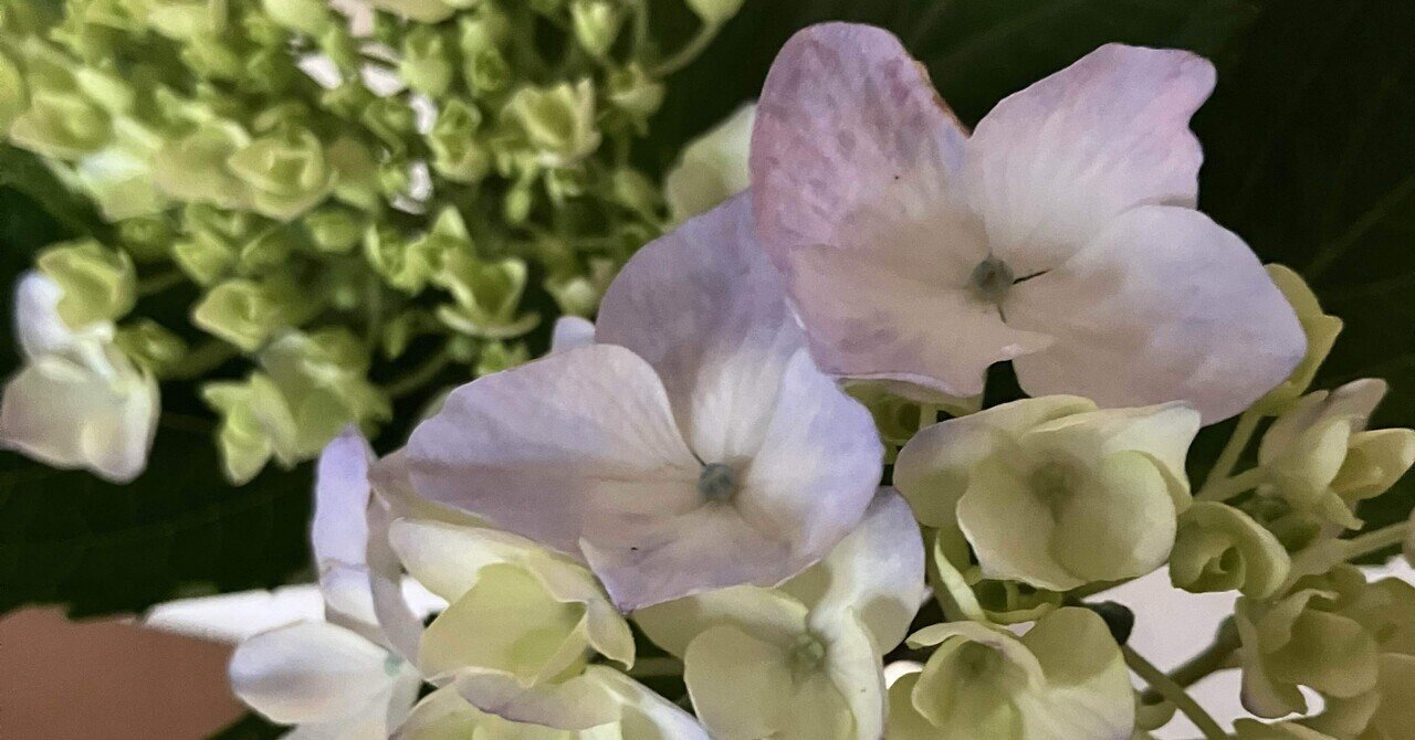 朝時間の悩みごと｜junko