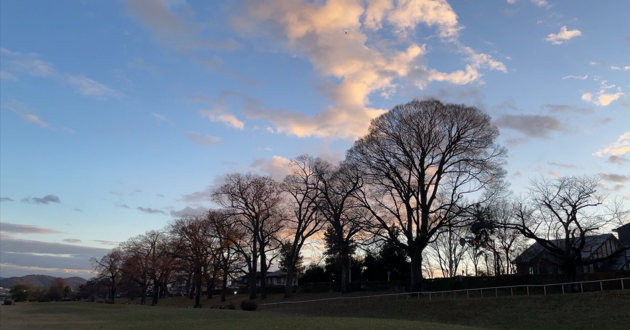 「京都のにょろさん」と「盛岡のにょろさん」―マルチバース的日常｜nyororoのスケッチ帖