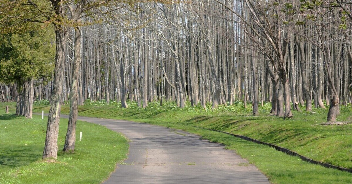 写真好きの一人言『私の撮りたい写真』｜Nobu-Oh