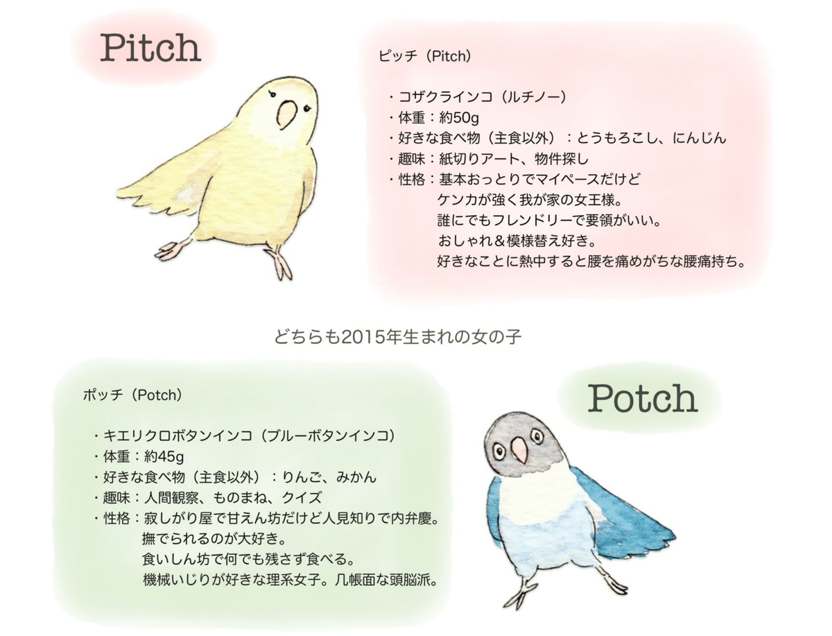 OZ mall連載第3話のお知らせ と うちのインコたちのプロフィール｜PitchPotch（ぴちぽち）