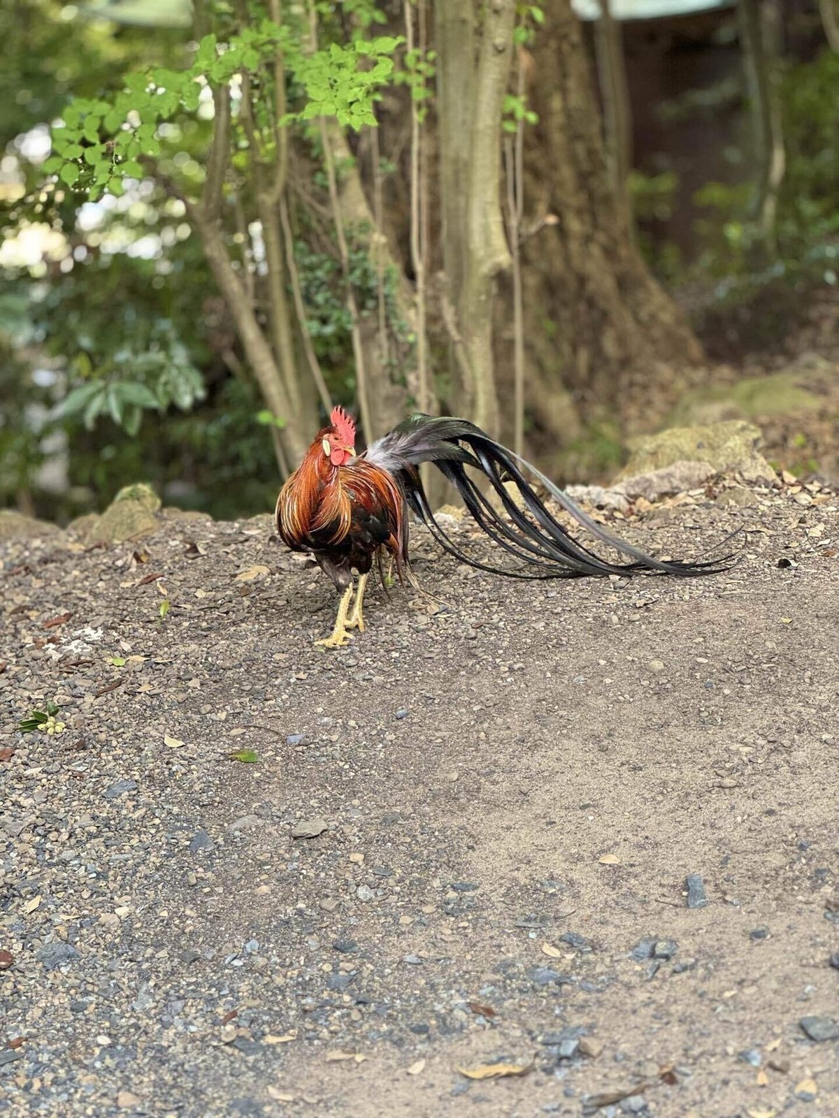 No.047: 大甕神社（茨城）｜null