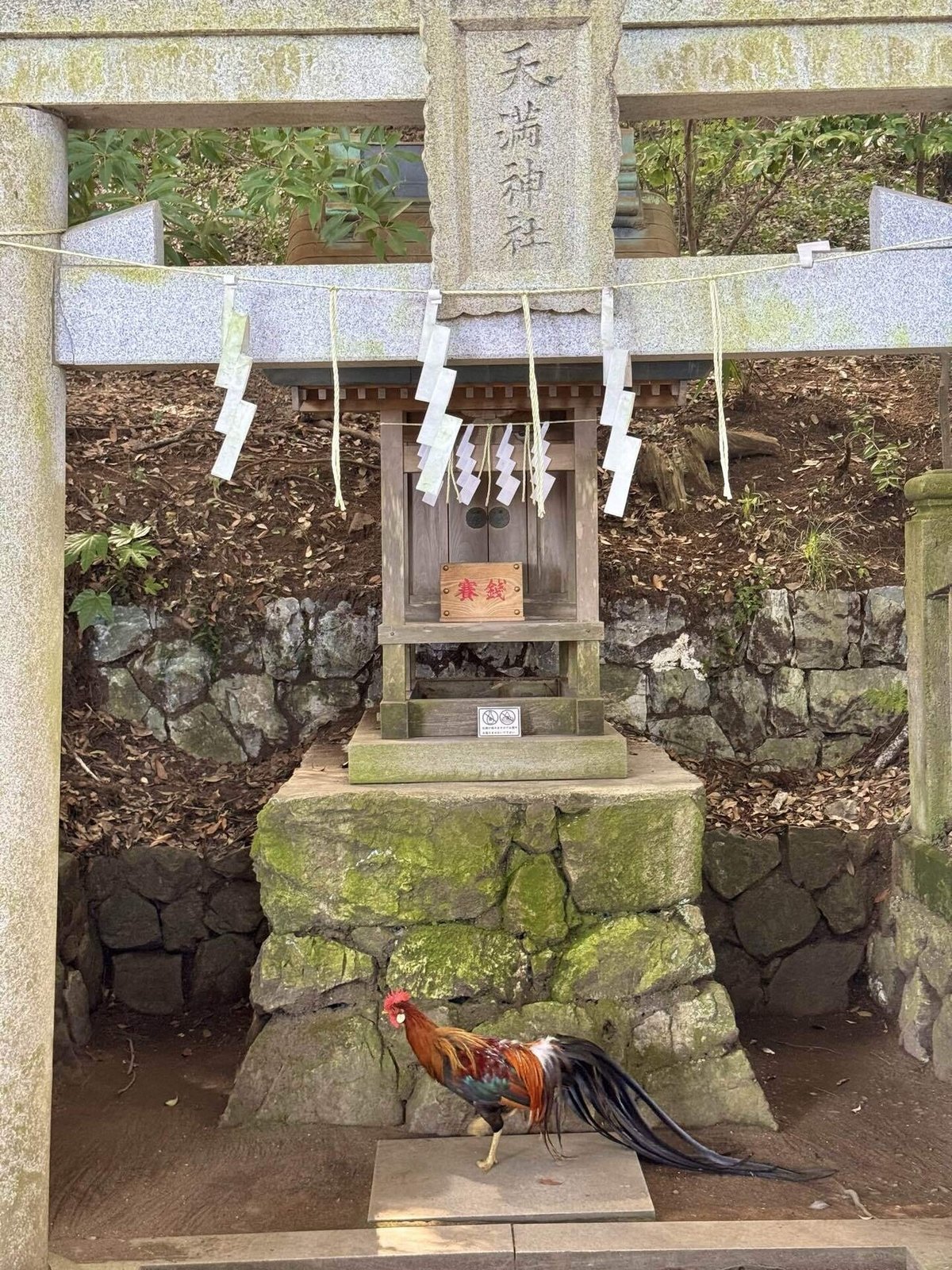 No.047: 大甕神社（茨城）｜null