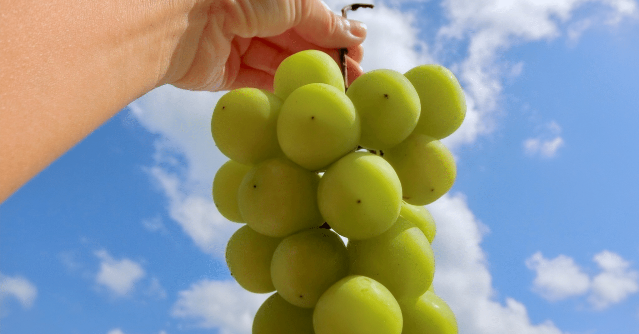 ひとーつ、ふたーつ、みっつ…！！！！｜大森 純 | Sumi Ohmori