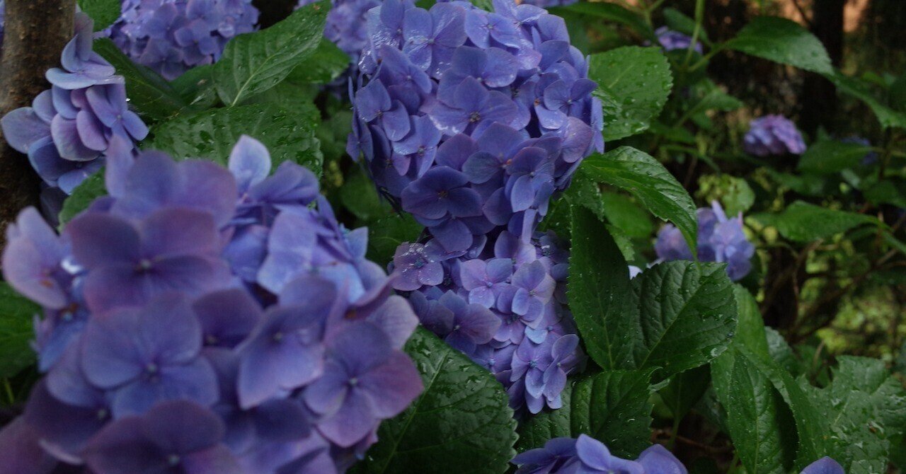 【脳と心とヨガ哲学12】ヨガとは何か、ここまでのまとめ｜SVAHA YOGA