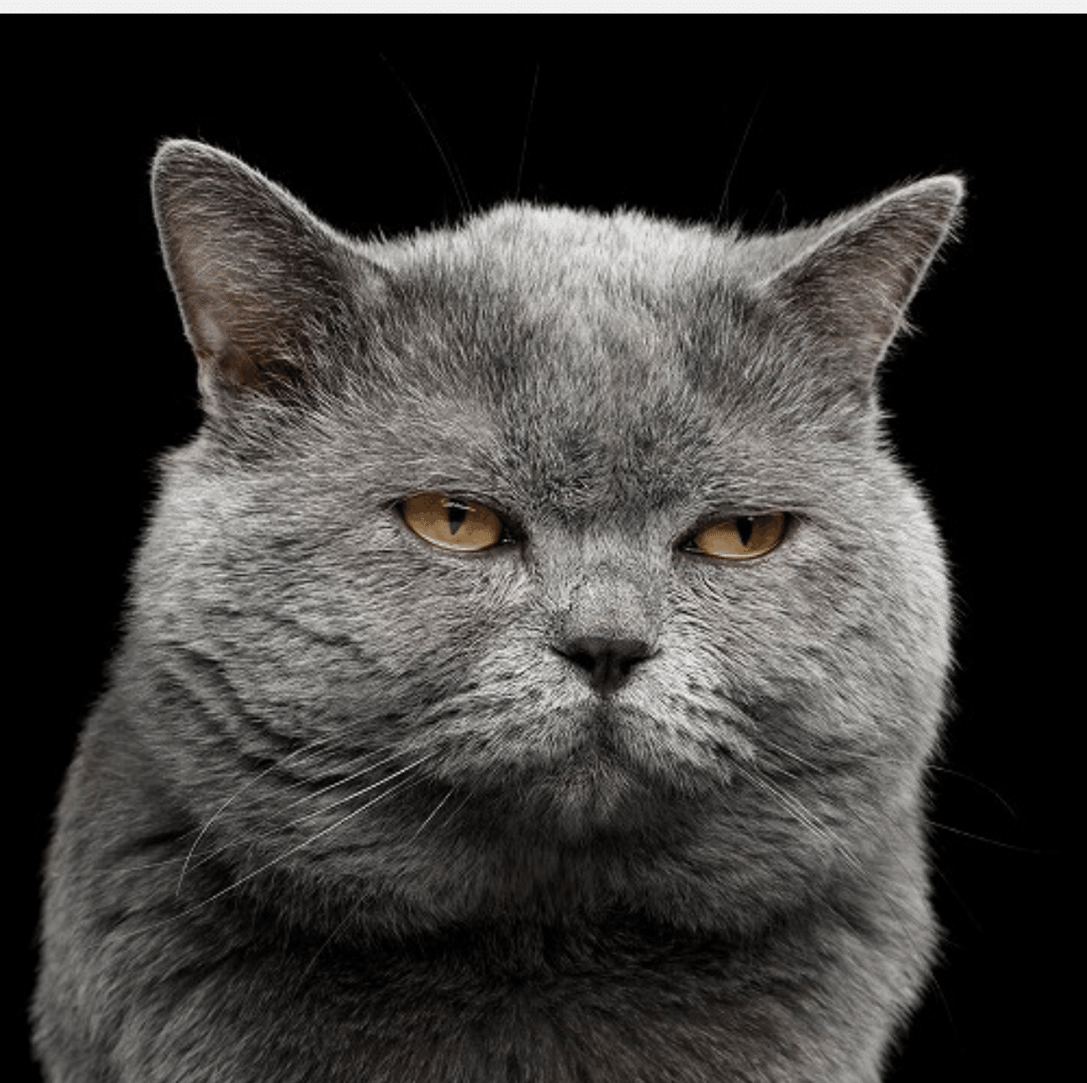 いつも愛想が悪い人をいつか笑顔に計画｜Maruyama Kunitomo