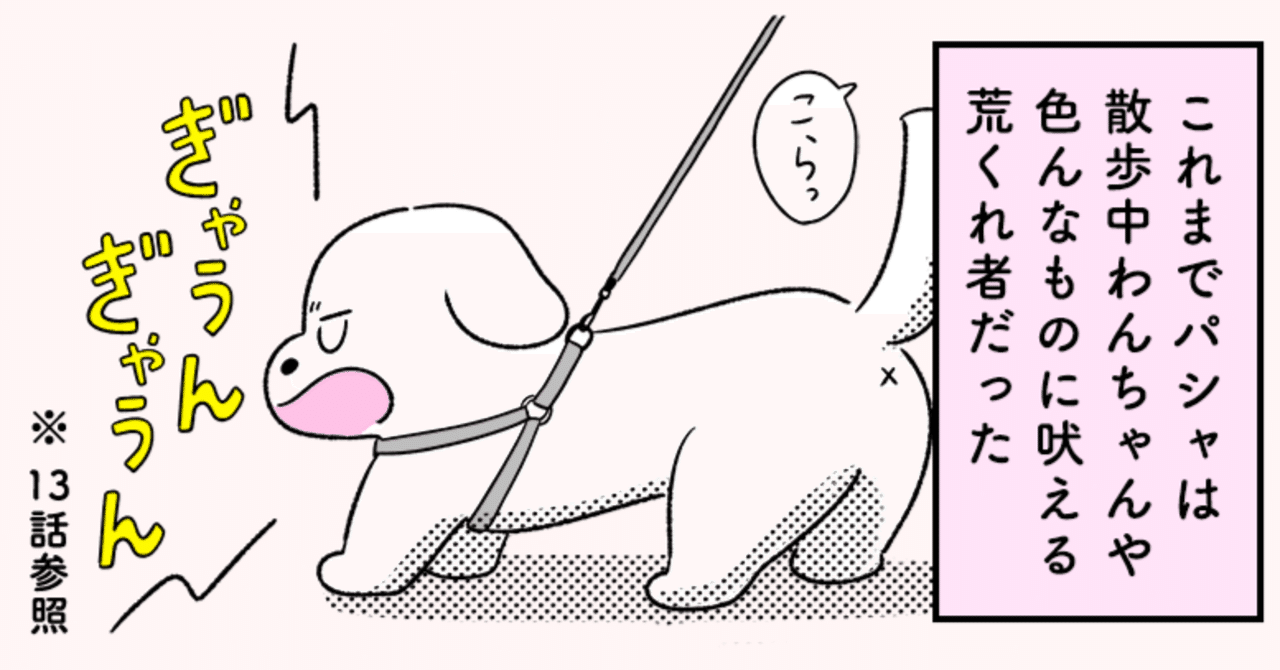 「いぬとのこと」#41 ふれあいのこと [コミックエッセイ] ｜YAYO/NU