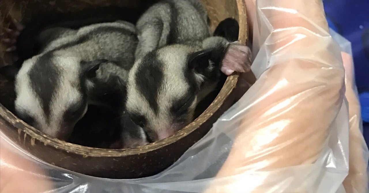 やりたいことを実現するための思考法：「言い訳駆動」で目標と手段を可視化する｜mota | note分析ツール