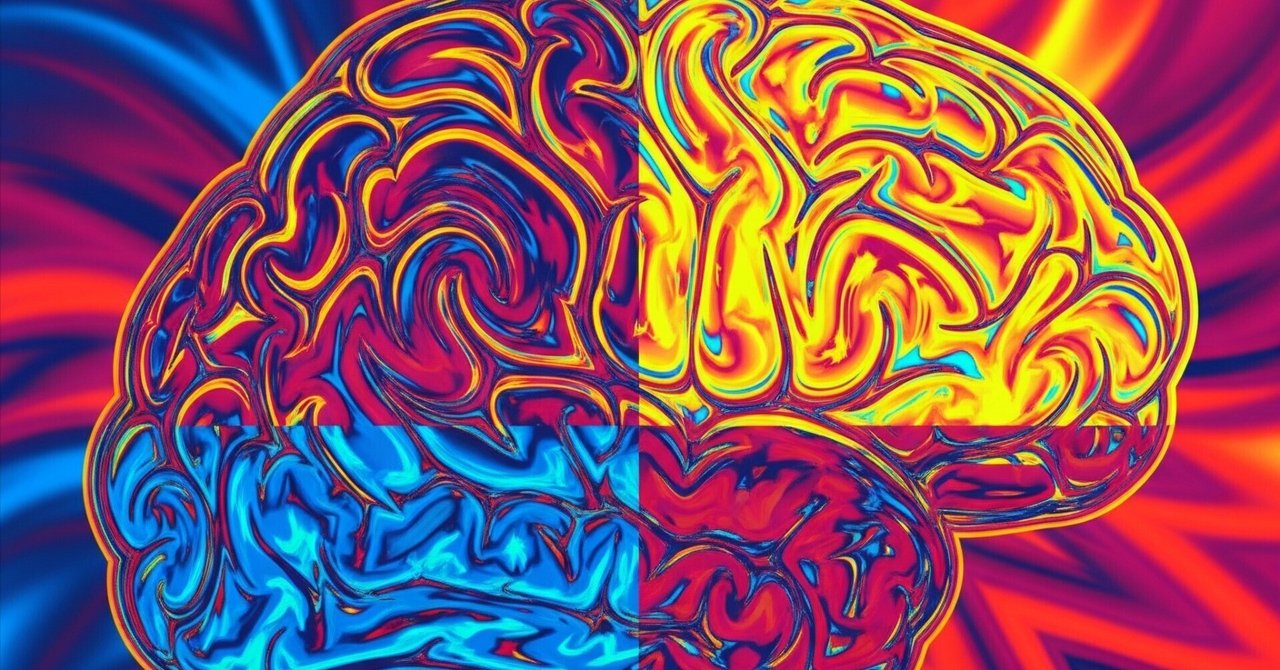 普通の画像と色反転した画像を交互に見た際の脳活動に関する考察｜TWLV32