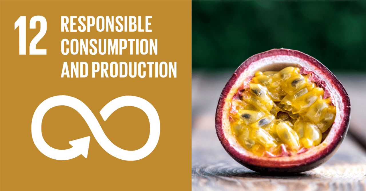 弊社ハニーフュージョンのSDGsの取り組みを【琉球放送】RBCさんに取り上げていただきました｜マヌカ姫 🍯 ハニーフュージョン