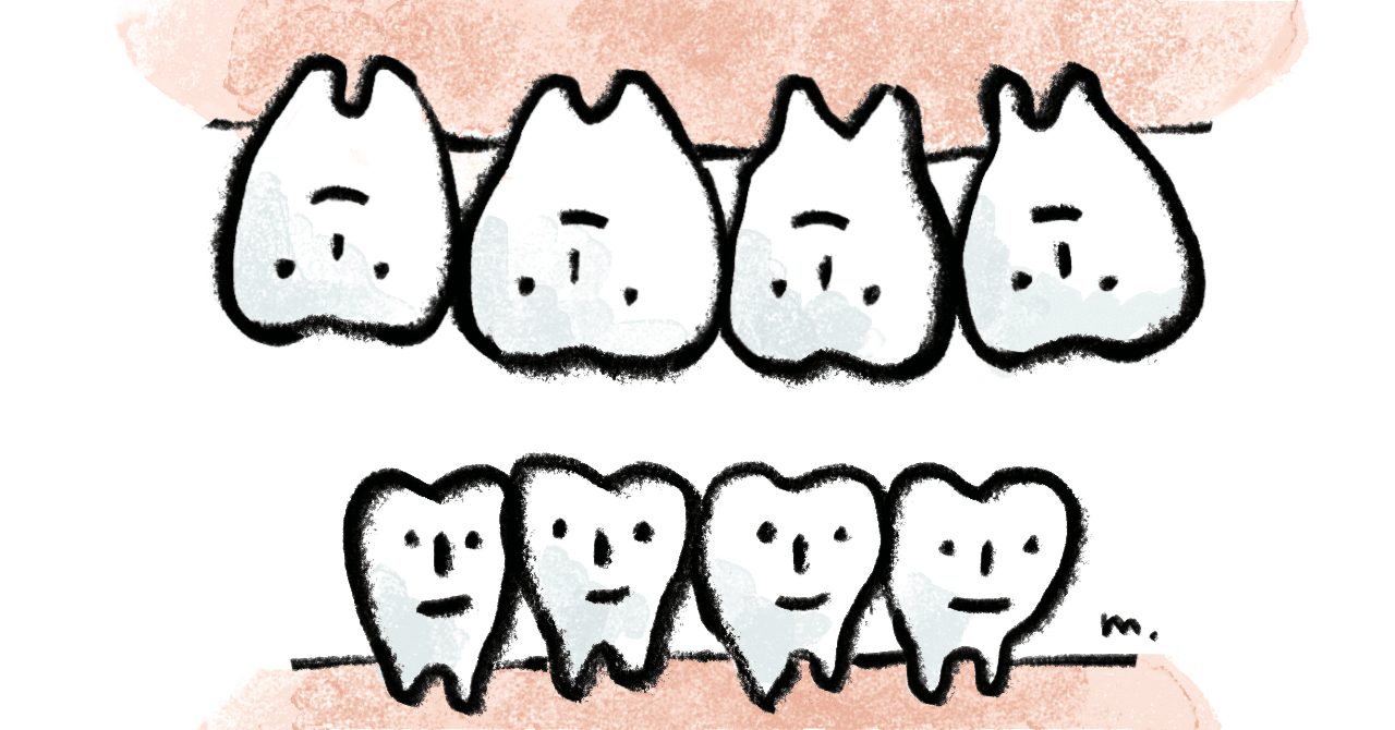 歯の矯正について（10ヵ月目）｜toshiki