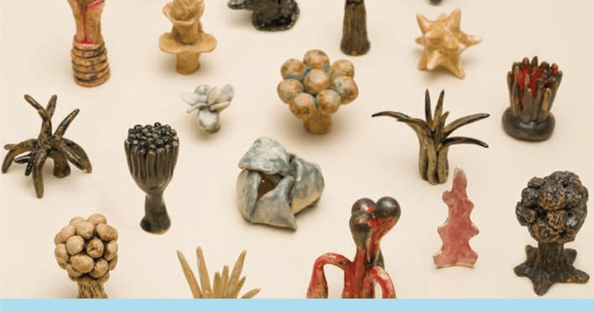 星野俊樹 ｜Toshiki Hoshino｜note