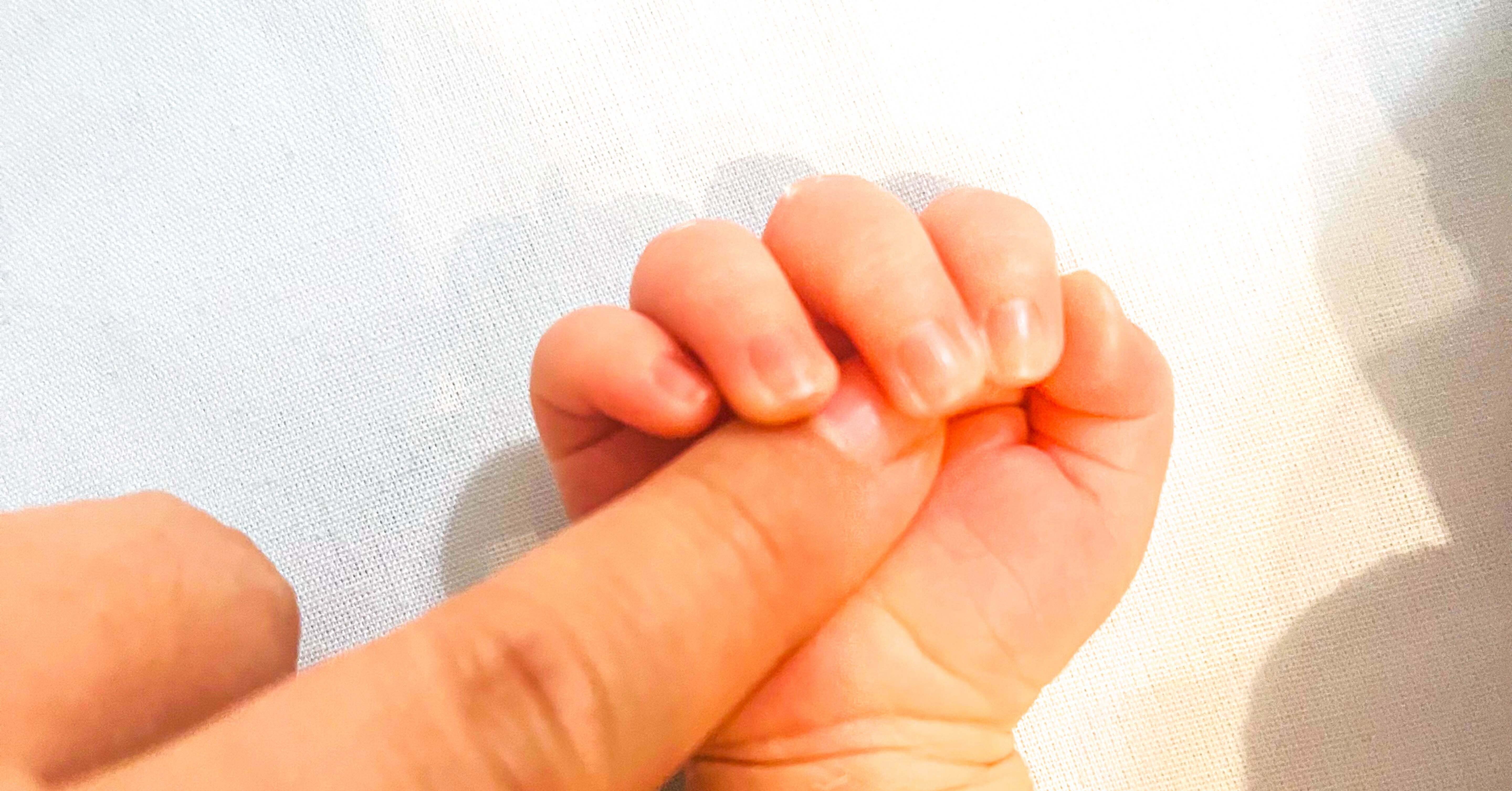 今日もすこやかに｜maho｜note