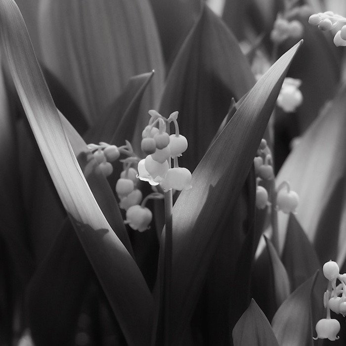 ためらう｜Reiko. M