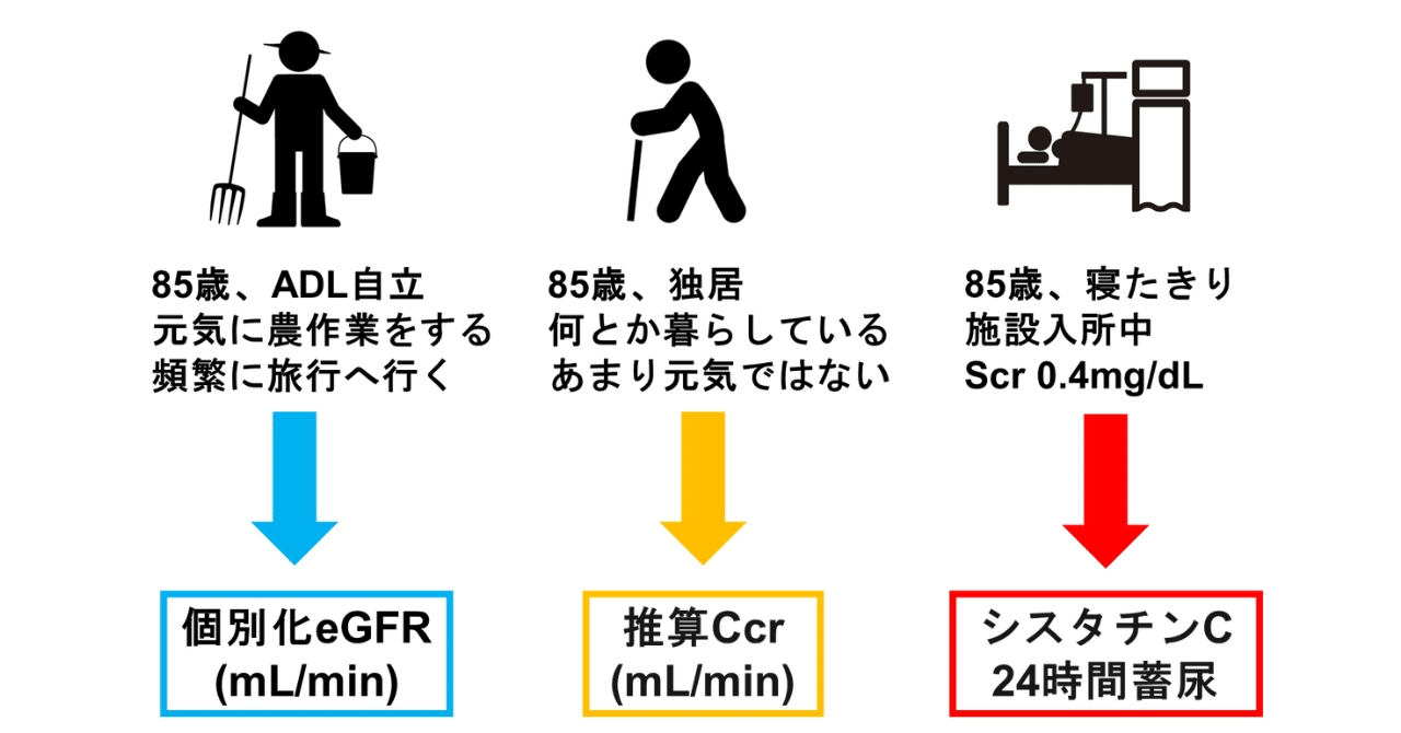 「結局、eGFRとCcrってどう使い分ければいいの？」──現場で迷わない腎機能評価の実践的ヒント｜ちーの/臨床薬学