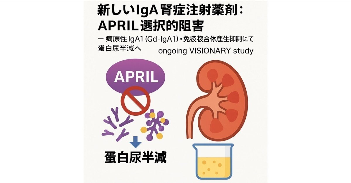 新しいIgA腎症注射薬剤：APRIL選択的阻害 → 病原性IgA1（Gd-IgA1）・免疫複合体産生抑制にて蛋白尿半減へ ongoing VISIONARY study｜Makisey