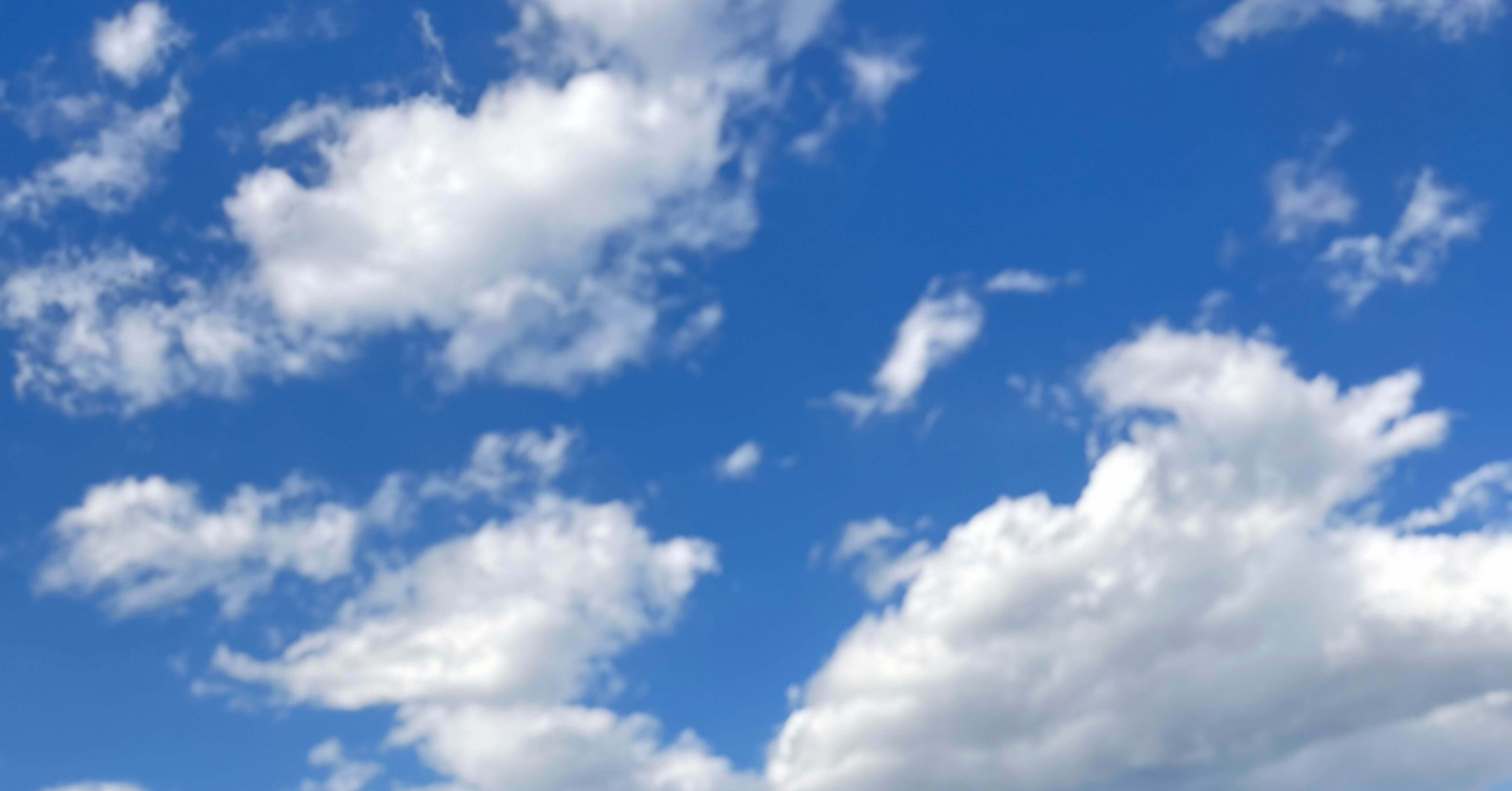 Riko｜はんぱニスト｜note