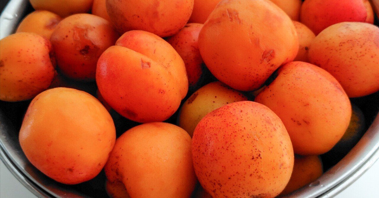 梅のつぎは杏の時間｜Hiro Oaks / 日々の雑感