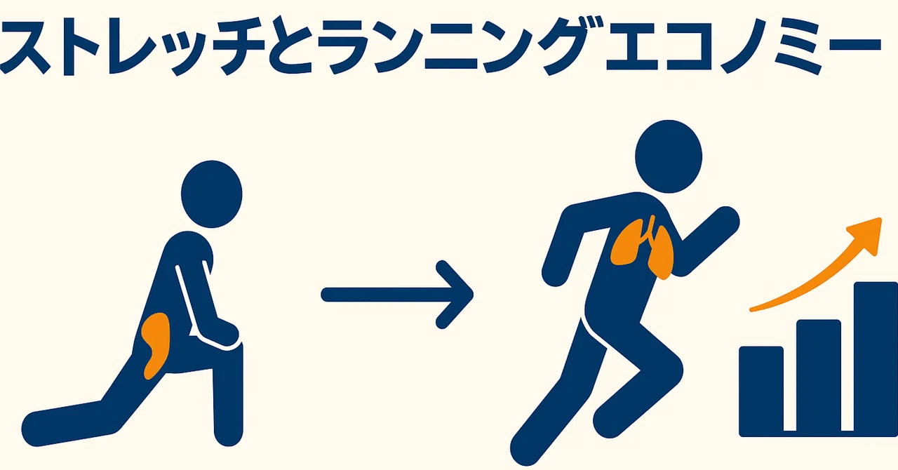 ストレッチでパフォーマンスが落ちる！？──「ランニングエコノミーに与える短期と長期のそれぞれの効果」のメタアナリシスから学ぶこと ...