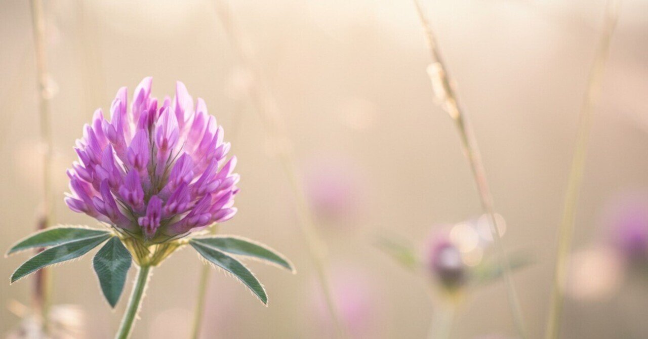 【自由詩】今、ほんの少し｜naru