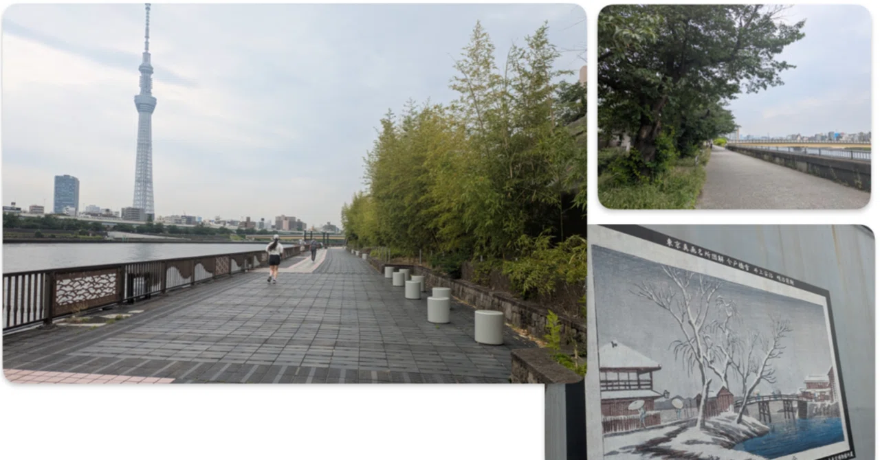 [Run in Japan🏃‍♀️] Tokyo Skytree & the Sumida River Terrace ｜~Run With ...