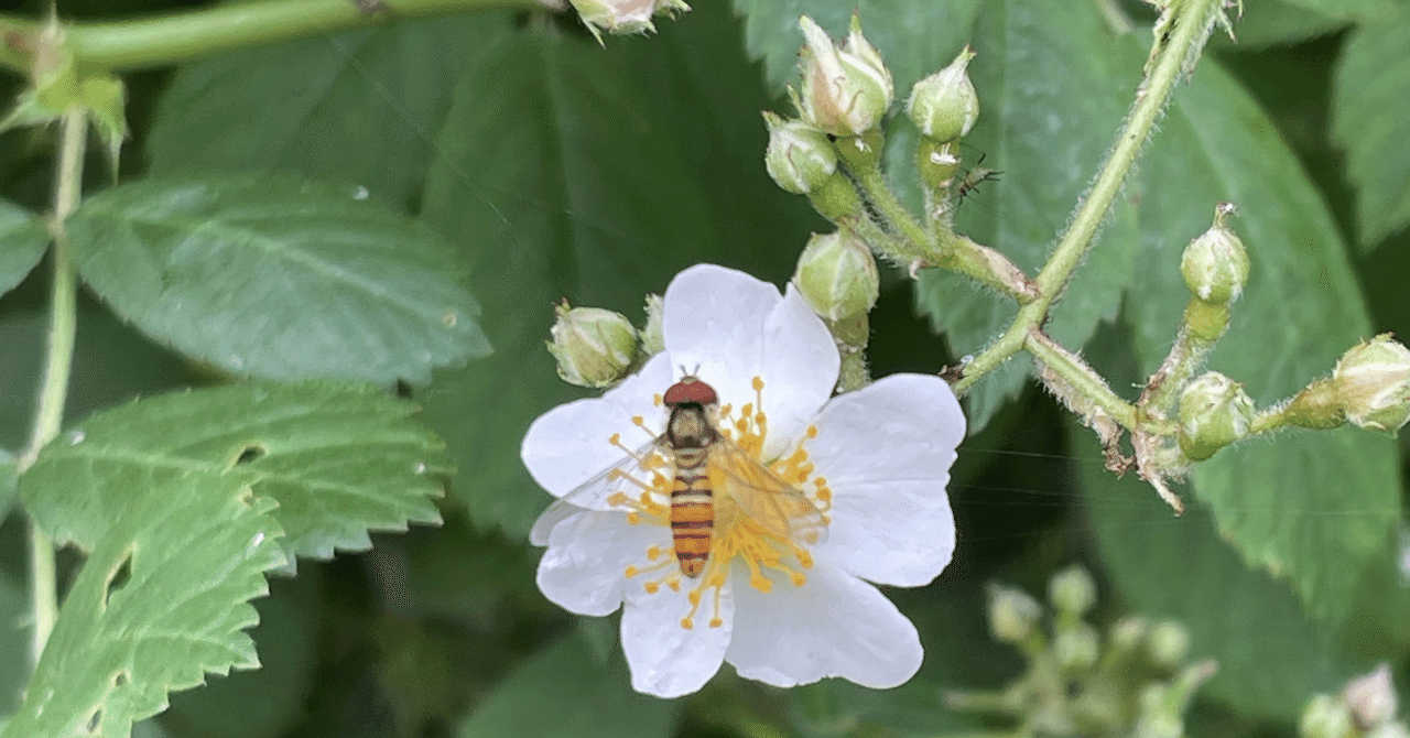 目標を持たない場｜fumi