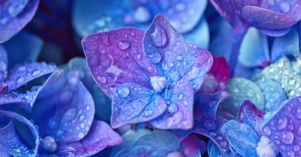 あんちゃん-Watashi塾-｜note