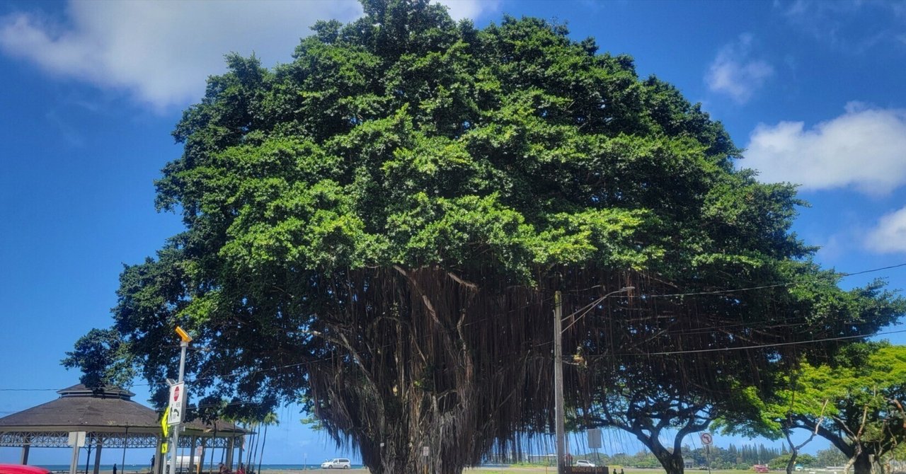 Spread your love!｜心のおしゃべり