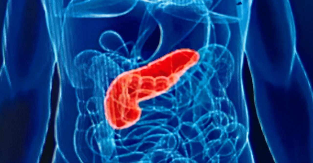 膵臓とランゲルハンス島｜seya_kinoto