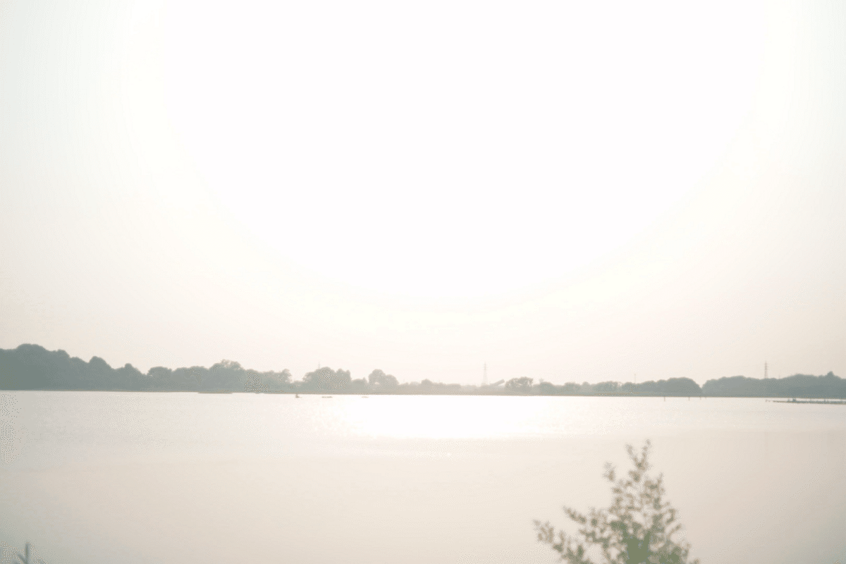 ふんだりけったり、でも生きてる｜羽田りさ｜Risa Haneda