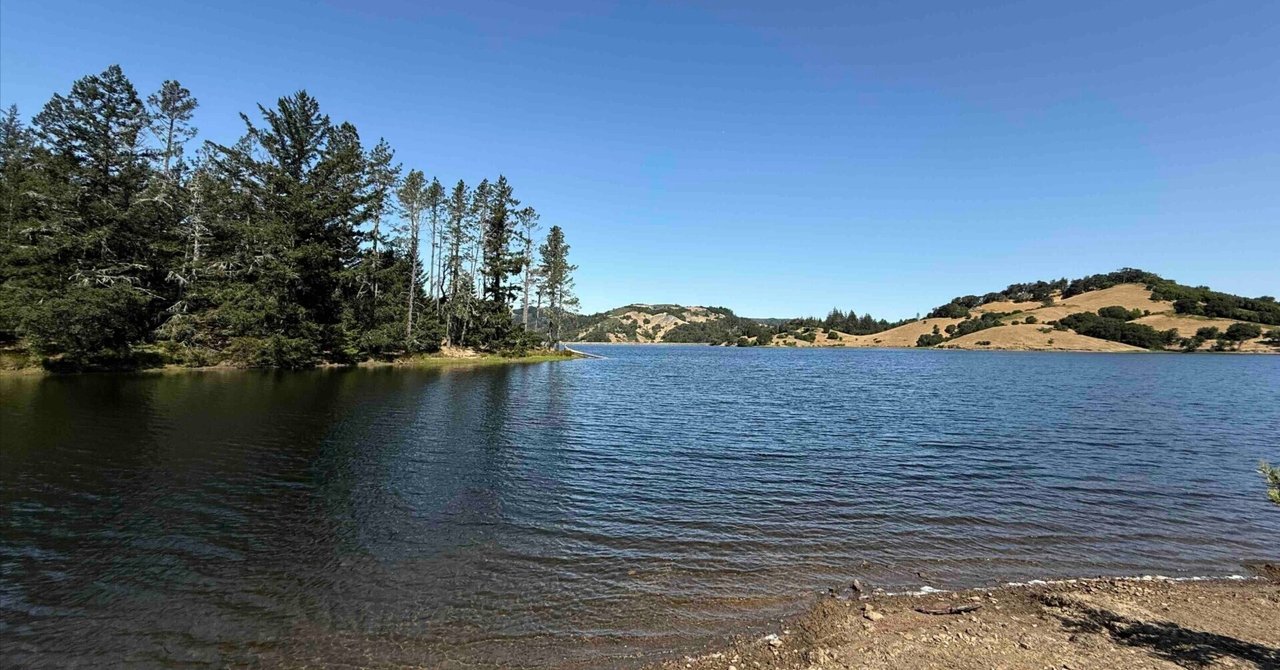 #230 VCに求められる戦略的な関係構築｜ヨンロック (Youngrok Kim)