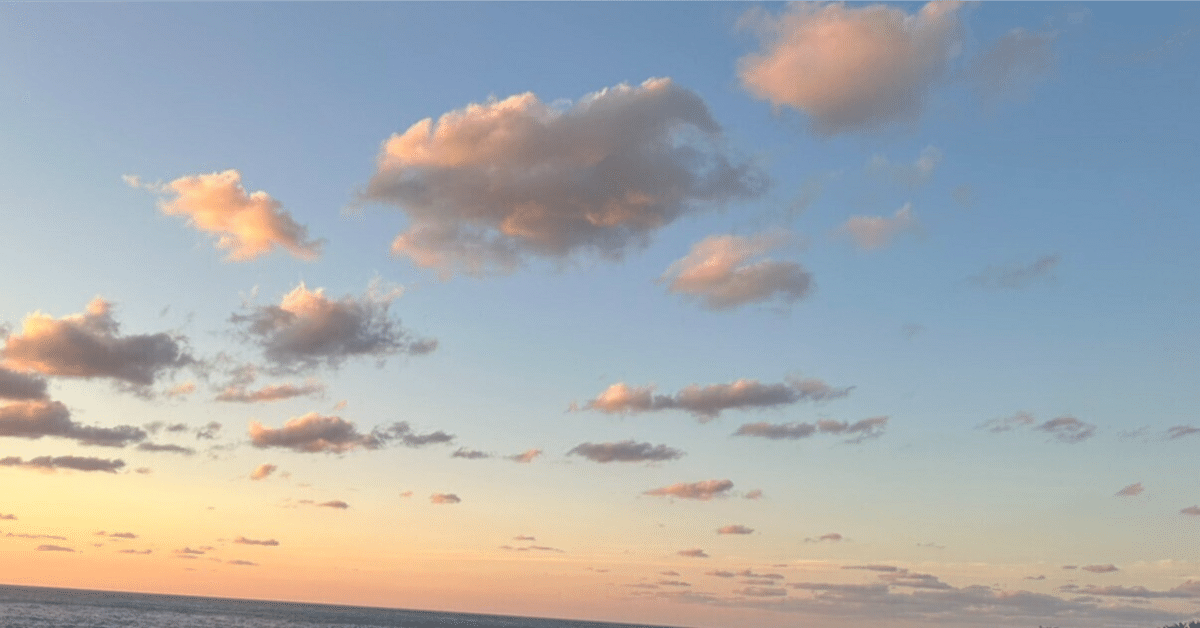 人は見た目だと思ってた。そう思ってしまう自分が嫌いだった。｜Kotoha｜不器用な私の思いを伝える日記