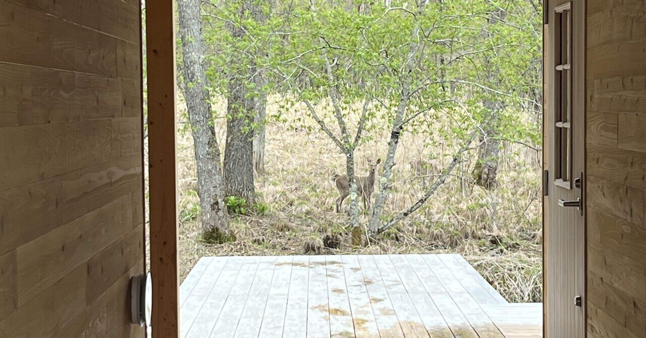 恋しくなったサウナ｜K_KIELO_SAUNA