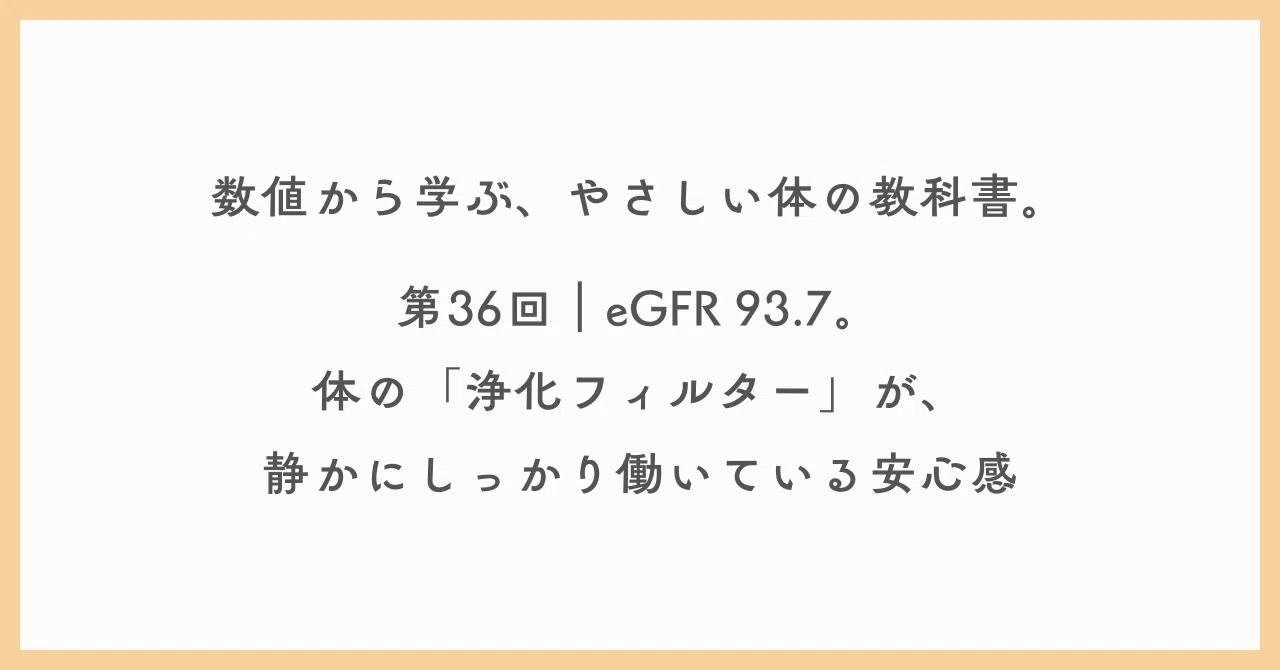 数値から学ぶ、やさしい体の教科書。第36回｜eGFR 93.7。体の「浄化フィルター」が、静かにしっかり働いている安心感｜ガンジー@経営者 ...