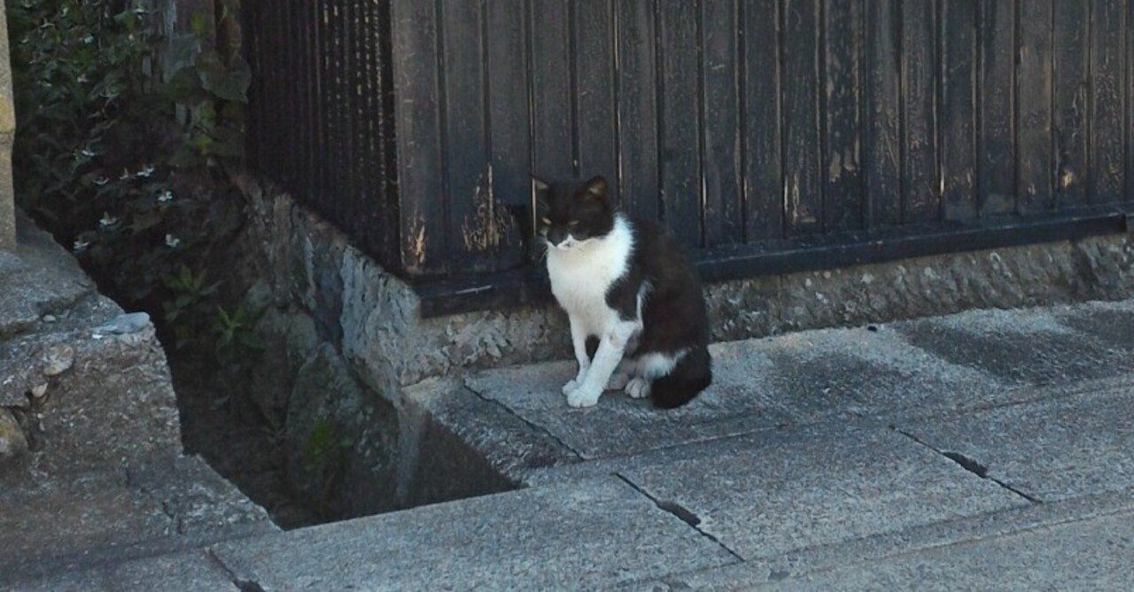【温泉奇行 #4】JAFの年会費は入浴割引で元が取れるのか。｜谷島誠也@温泉人