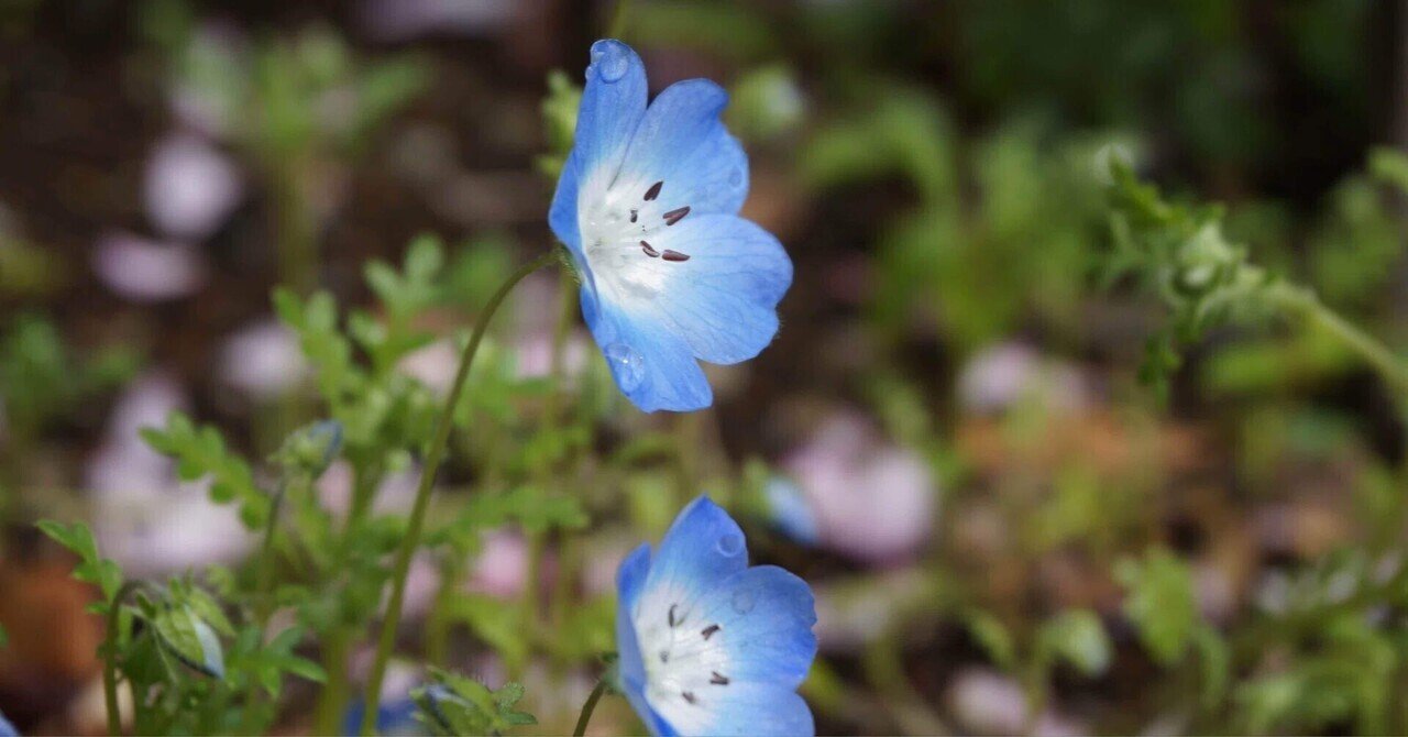 タイトル集！！｜Murata Shin