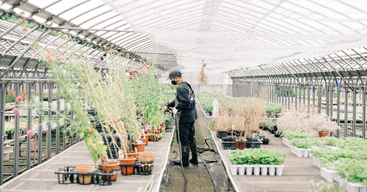 自己紹介｜はじめてのnote｜20代で農家になった理由｜Yuto Mita