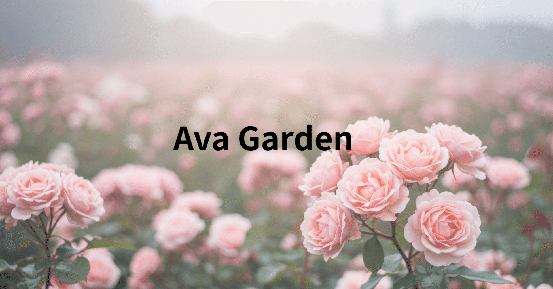 ava_garden｜note