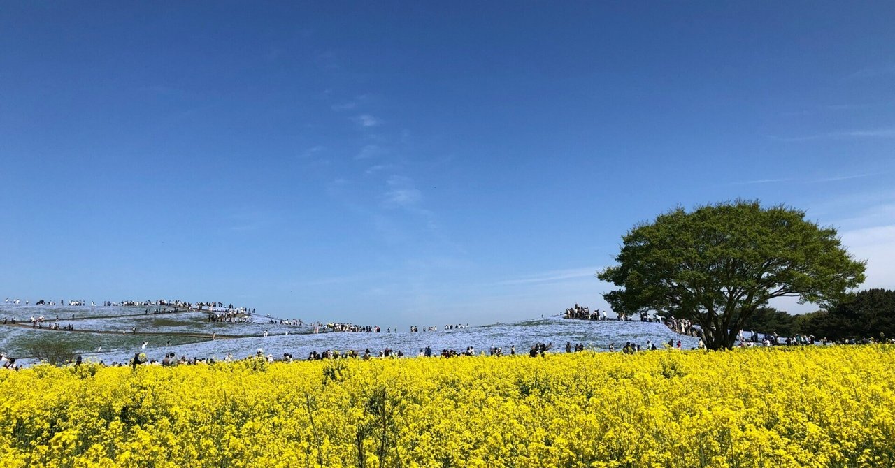 【社会のモノサシ】 レヴィナス 「全体性と無限」 p267-280｜周回遅れ