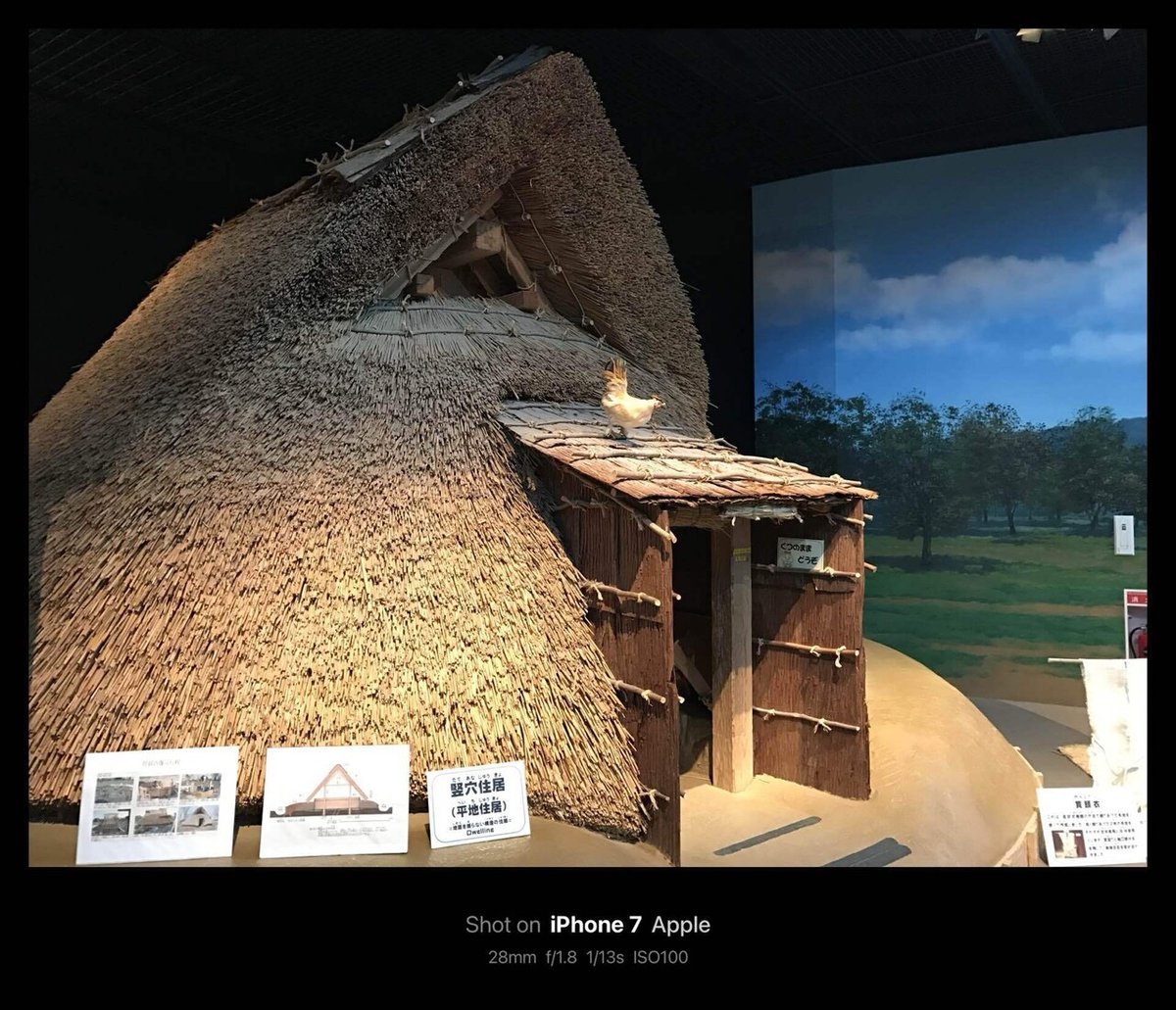 静岡市立登呂博物館 / Shizuoka City Toro Museum(Shizuoka, Japan)｜N.Hagimoto